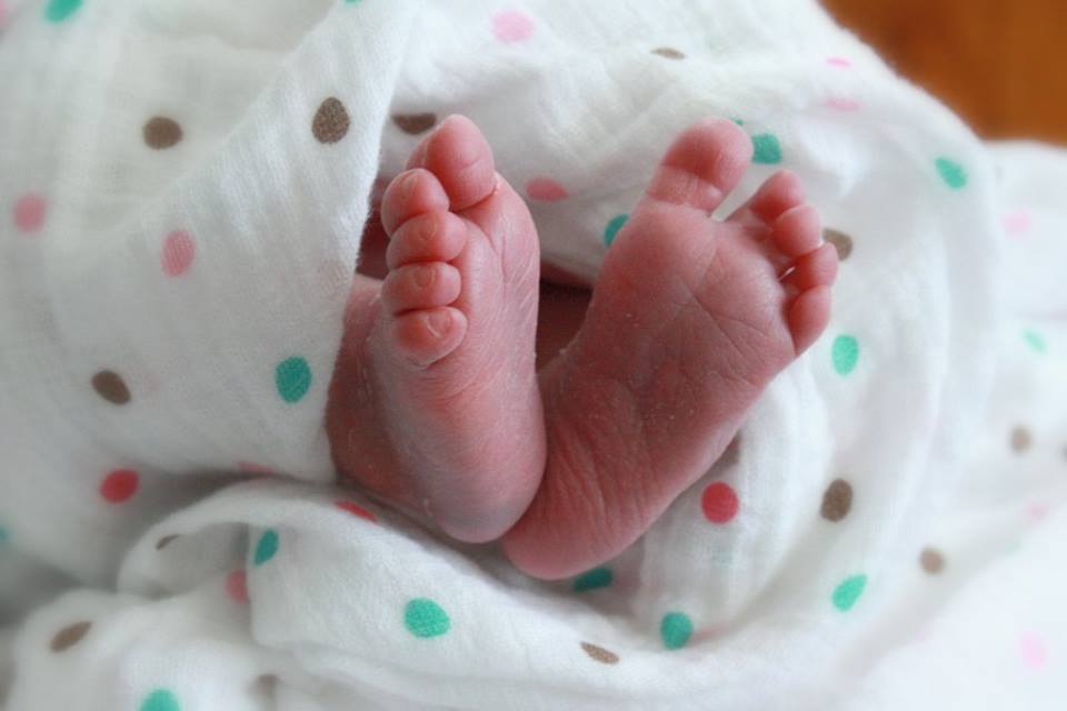 Online Resources – Gentle Delivery Midwifery Services (Centre Co. PA)